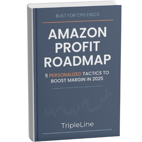 Increase Sales On Amazon With Our Product Launch Blueprint